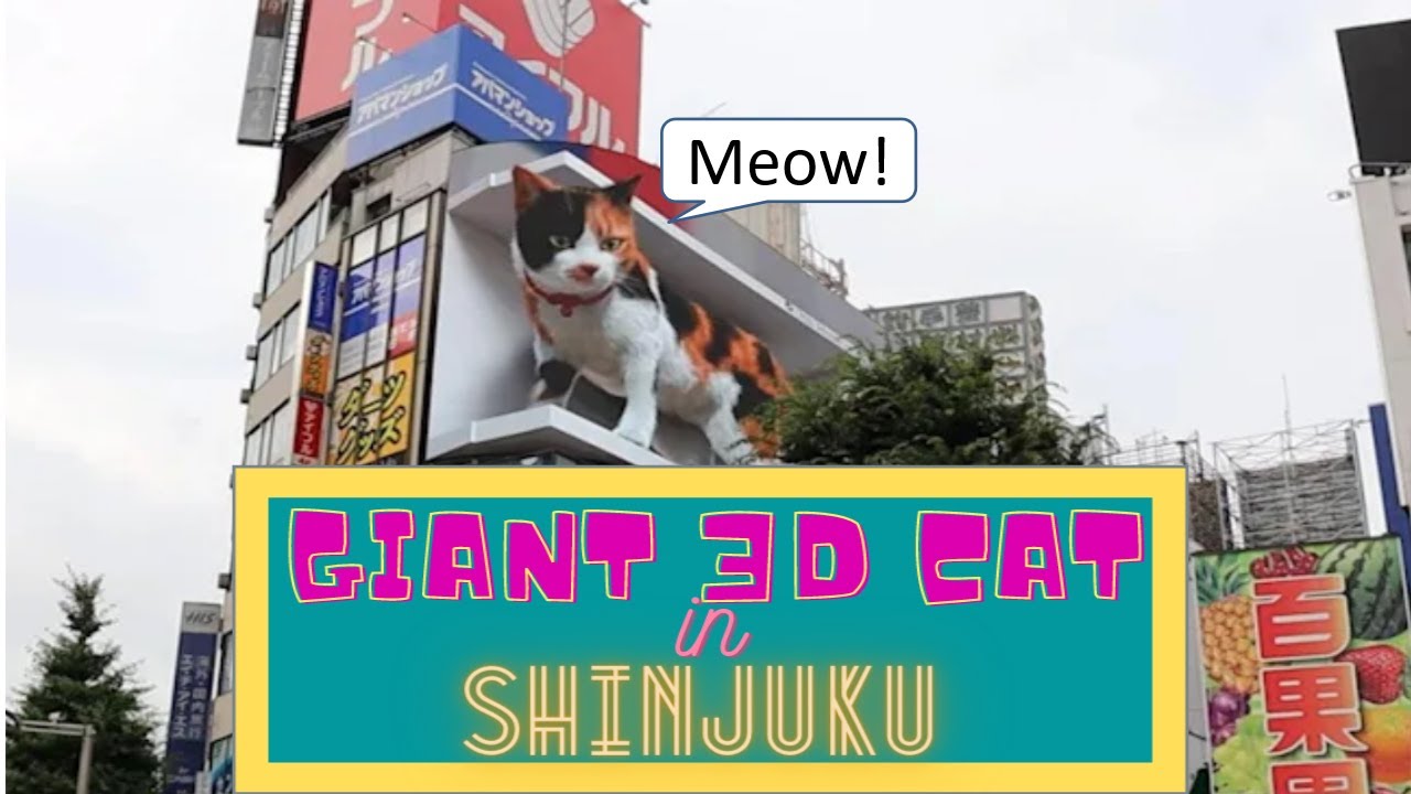 Japan 3d Cat Meows. Amazing 3d Cat Billboard in Shinjuku. So Cute 3d ...