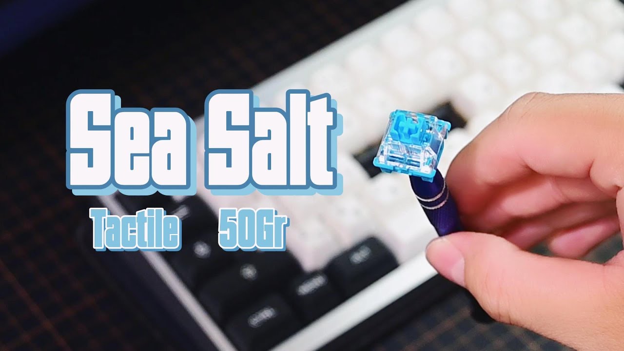 Sea Salt Tactile Switches Sound Test #mechanicalkeyboard - YouTube
