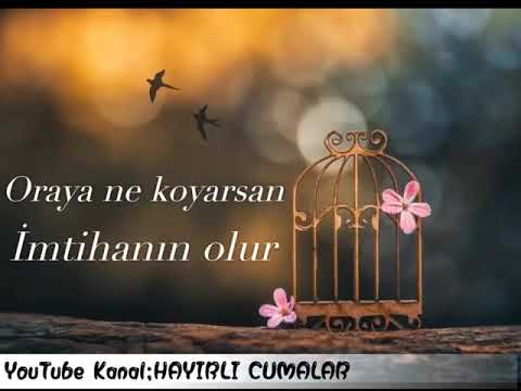Hayırlı Cumalar Whatsapp Durum Videosu🌸#HayırlıCumalar #CumaDuası #ResimliCumaVideoları #Cuma