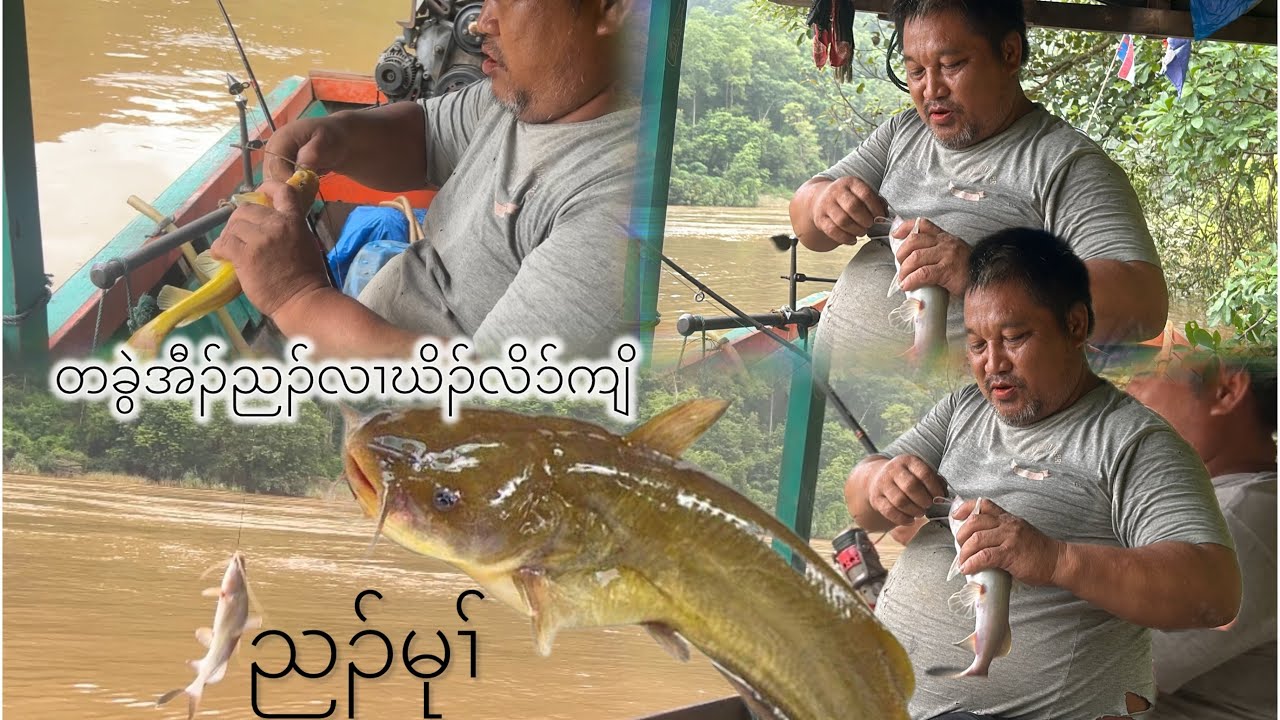 Going fishing in the Salween River, it was a lucky day. - YouTube