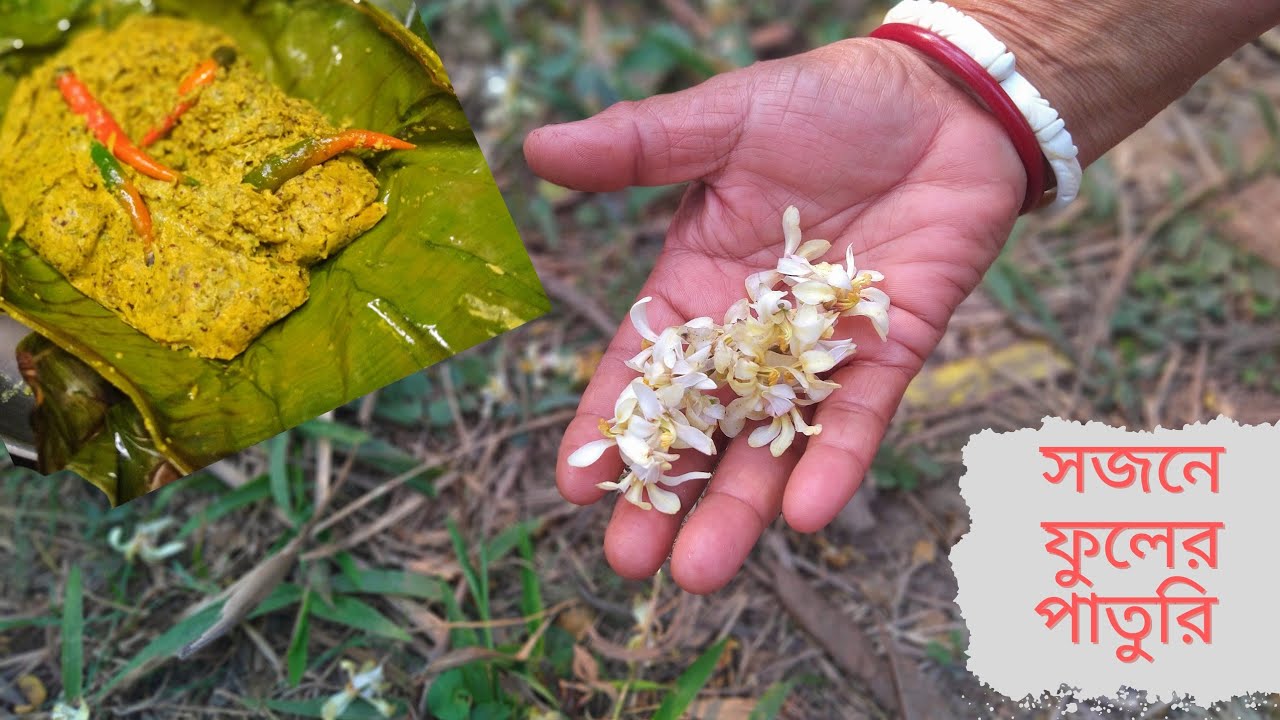 হাম পক্স এর মরসুমে অত্যন্ত উপকারী 🤔সজনে ফুলের রেসিপি।।Sojne Fuler ...