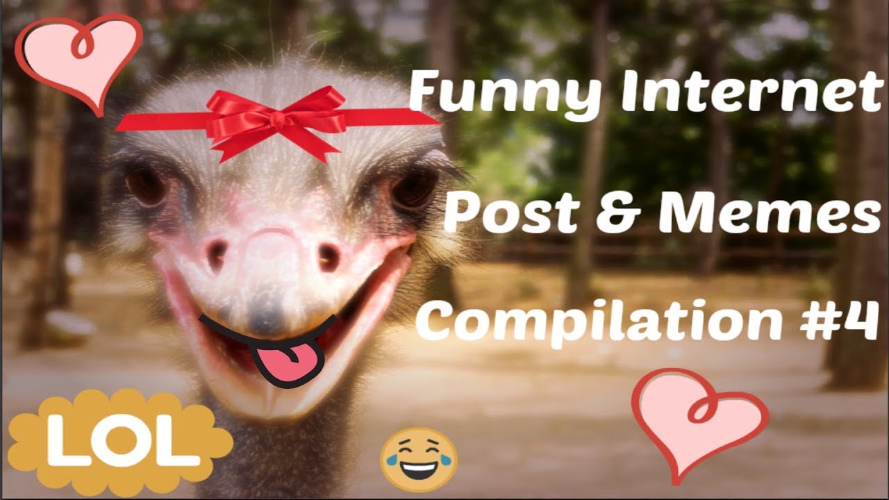 FUNNY INTERNET POSTS & MEMES COMPILATION #4 - YouTube
