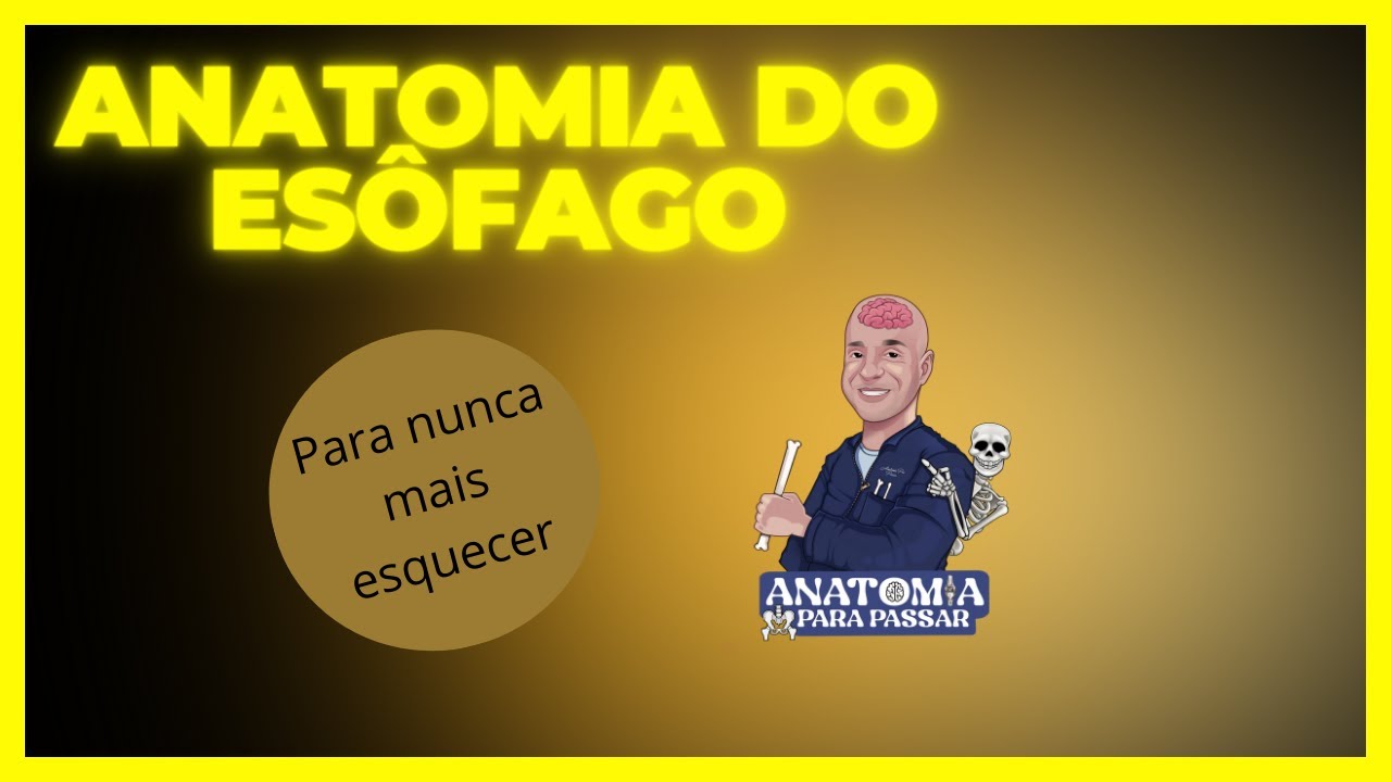 Anatomia do esôfago - YouTube