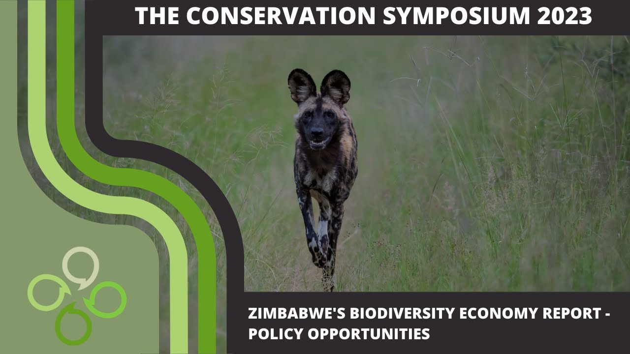 Zimbabwe's biodiversity economy report : Policy opportunities - YouTube