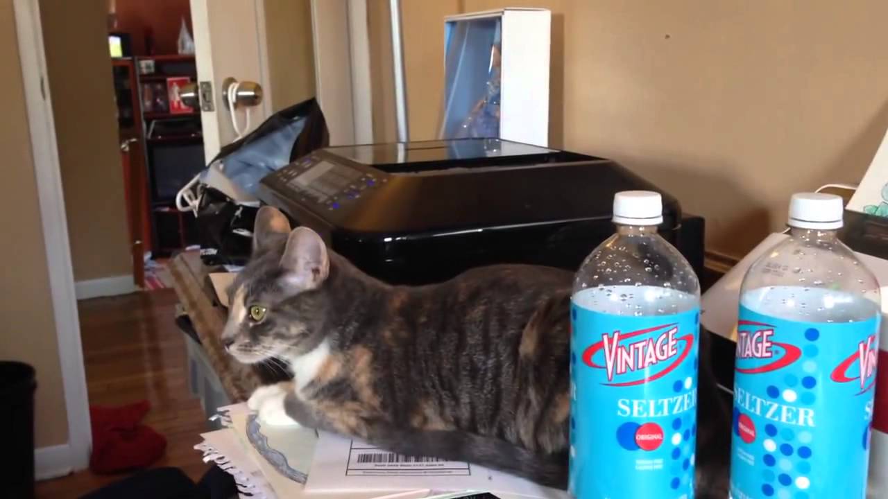 Frozen Meets My Little Pony - YouTube