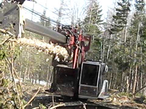 Link-belt 2800 Delimbing a big spruce tree - YouTube