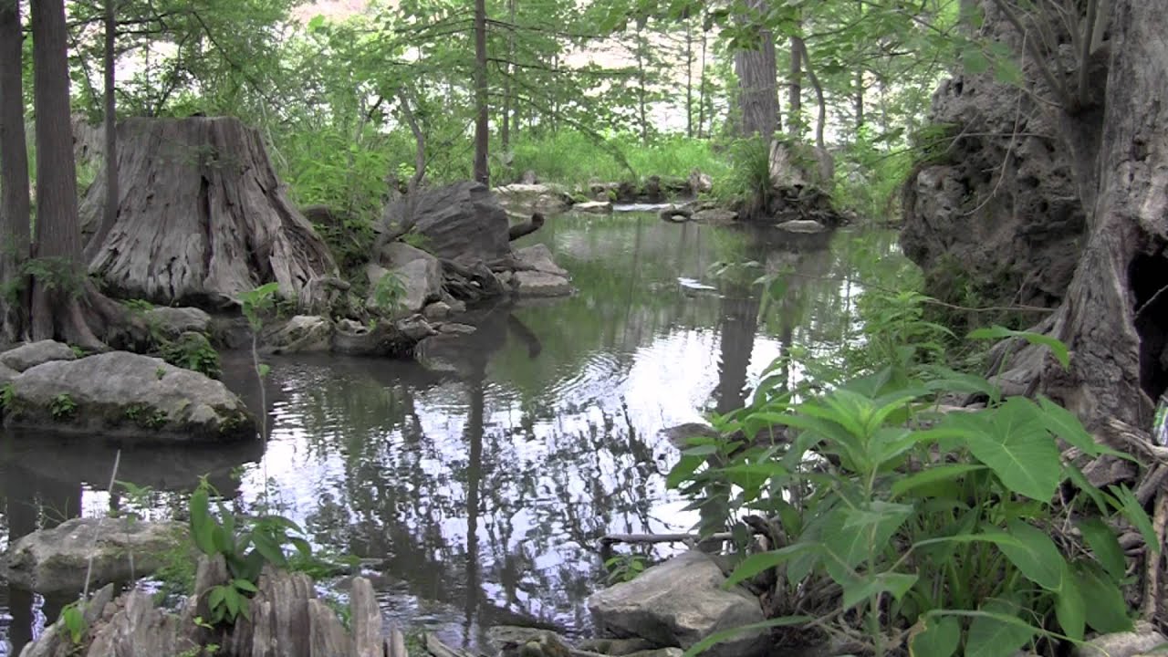 Hammock Camping at Krause Springs Among Waterfalls and Ponds - YouTube