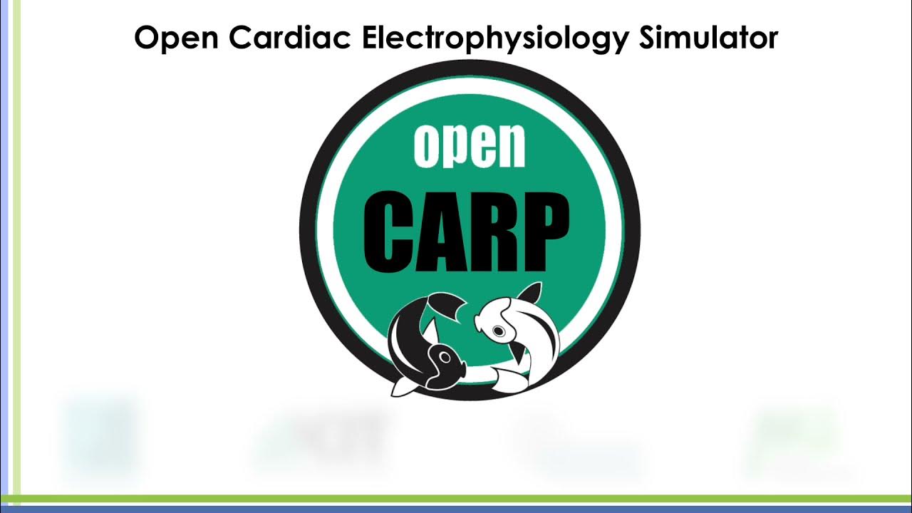 openCARP - Overview of workflow - Part2 - YouTube