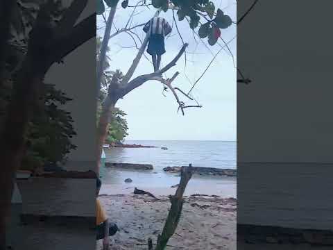 di susuin aja