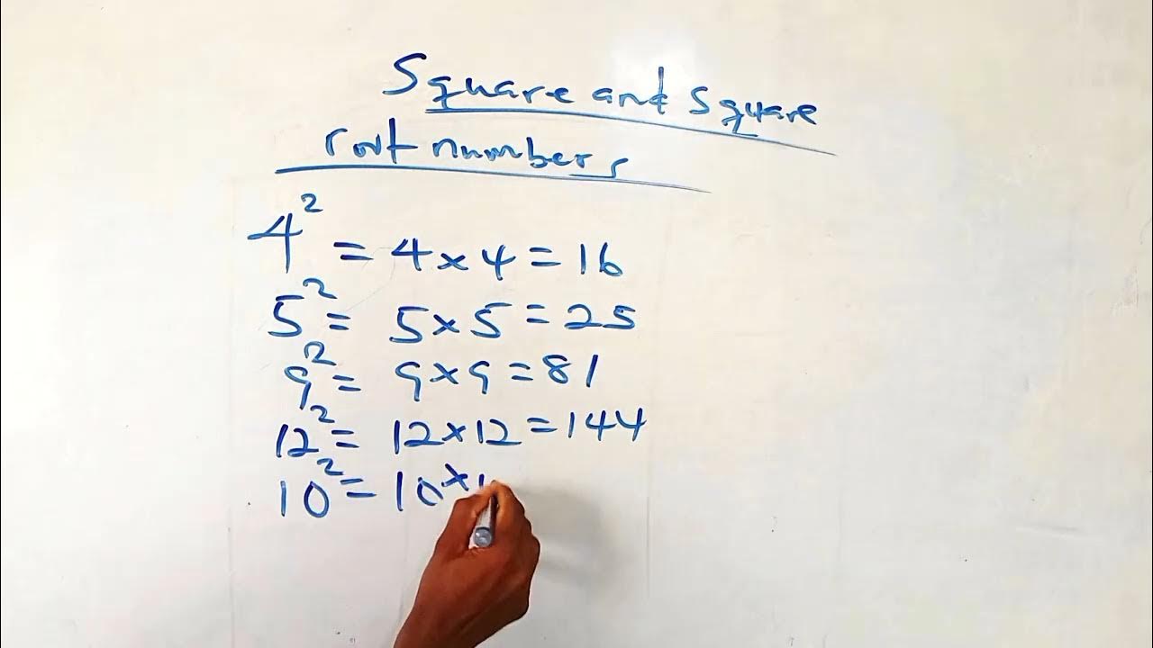 (Basic Mathematics) square and square root of numbers - YouTube