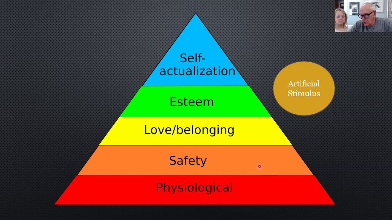April 10 Erica and I look at Maslov's Hierarchy of Human Needs - YouTube