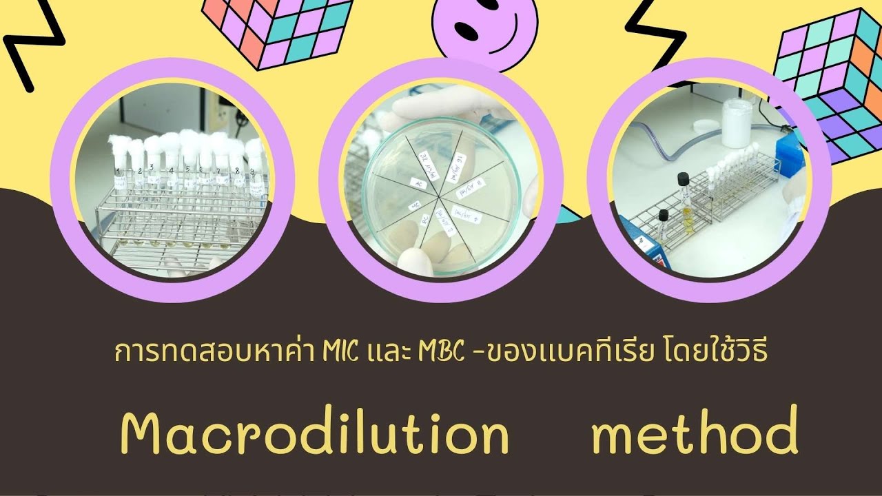 การทดสอบหาค่า MIC และ MBC ของเชื้อโดยวิธี Macrodilution method - YouTube