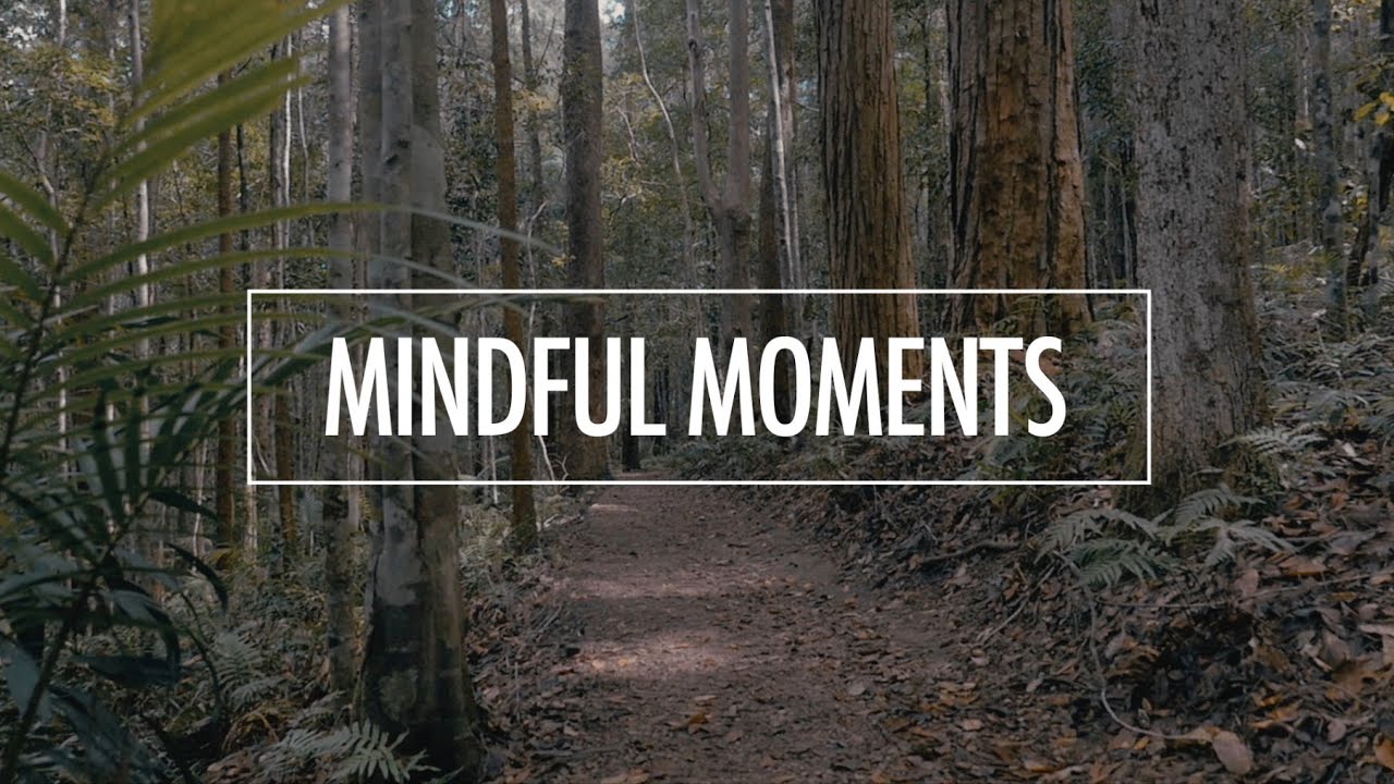 Mindful Moments | Nature - YouTube