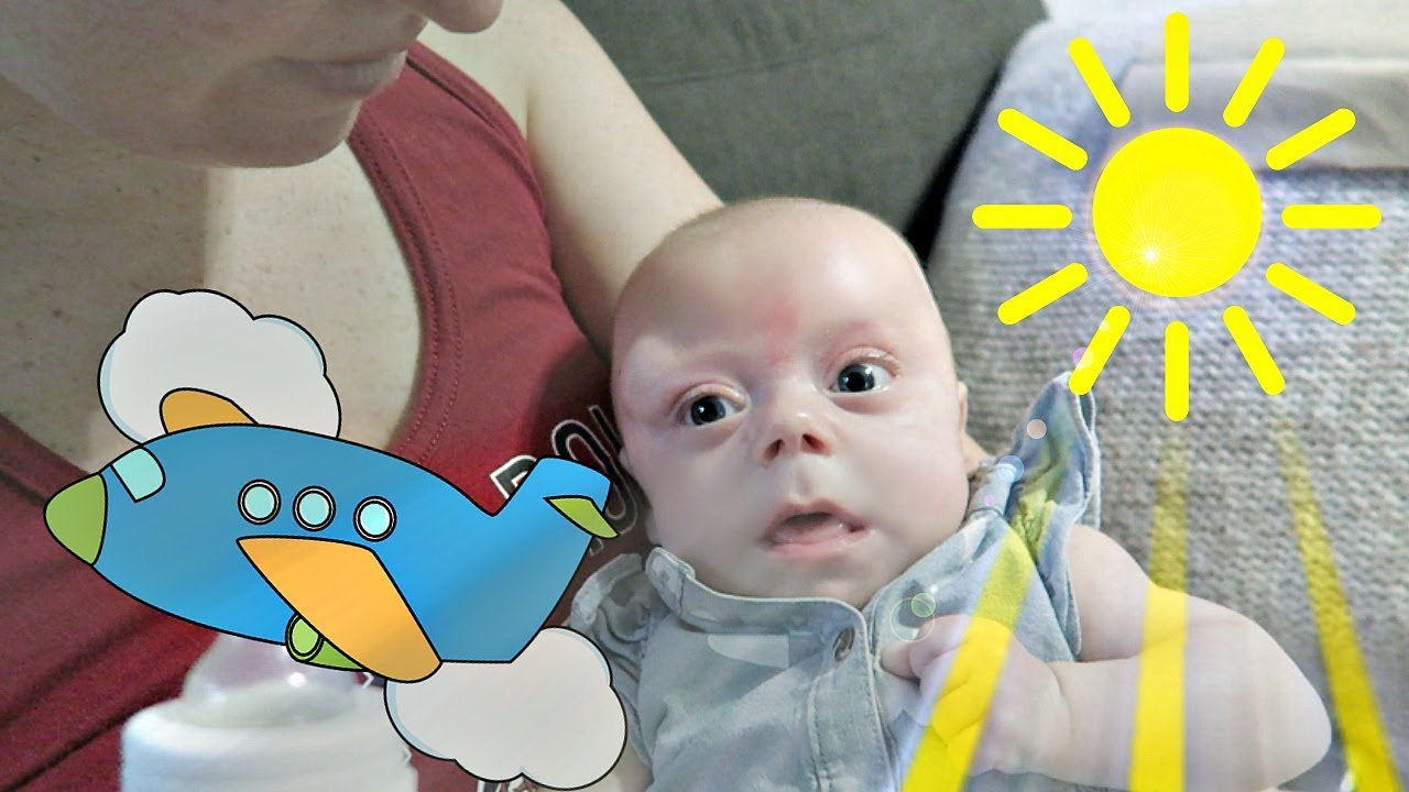 Preparing for her very first FLIGHT! - YouTube