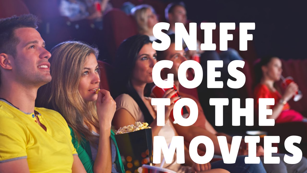 Sniff Goes to the Movies - YouTube