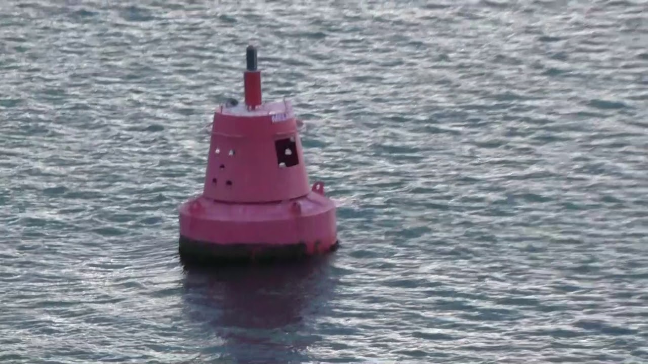 Red Can Buoy, Melampus Plymouth Sound, Devon, England 8th September ...