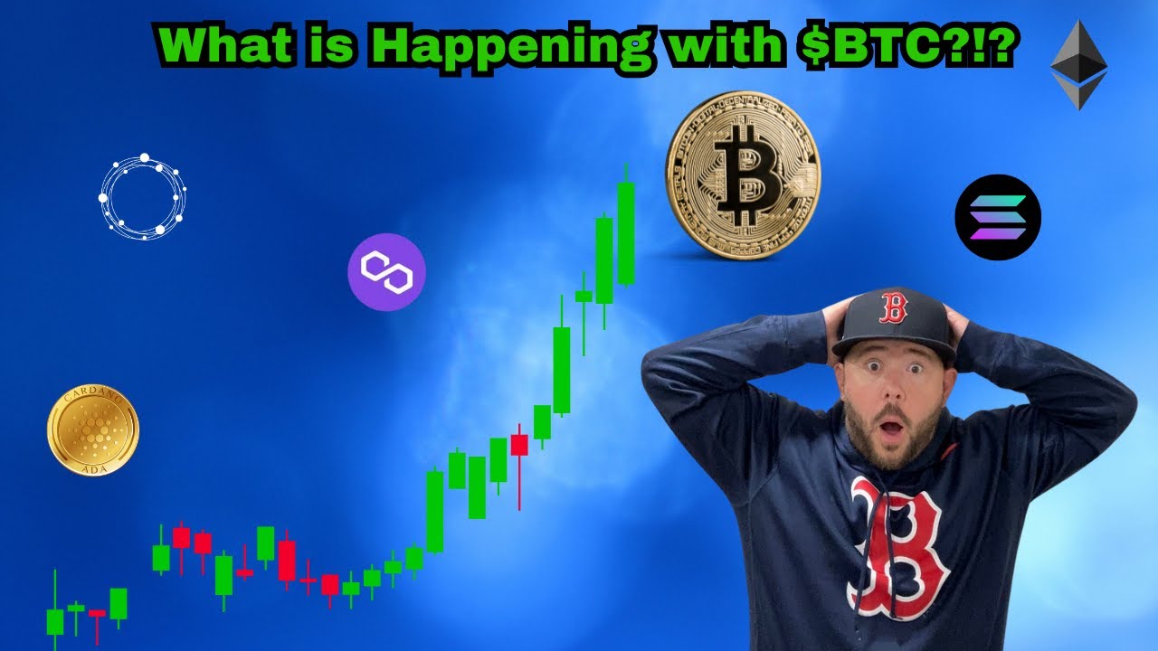 The Current Crypto Market - What's Different This Cycle - YouTube