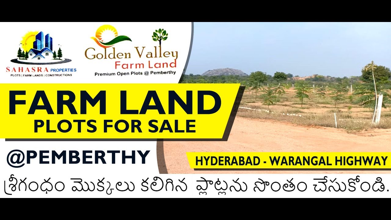 Farm Land Plots for Sale | శ్రీ గంధం | Sri Gandham Plants | Sri Gandham ...