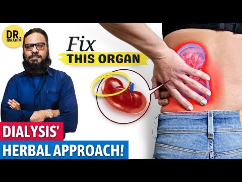 Gurdon Ki Kamzori Se Dialysis Ka Ilaj | A Herbal Approach to Kidneys/Dialysis | Dr. Ibrahim