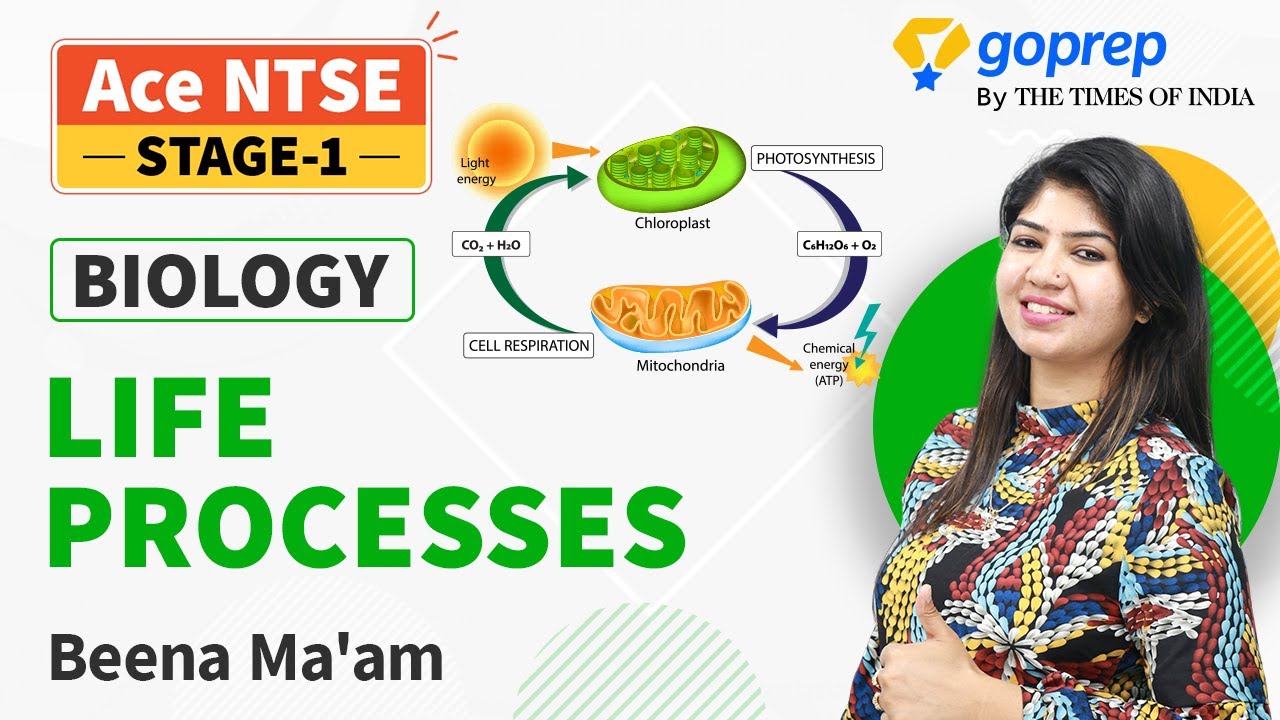 Life Processes | Biology | Ace NTSE Stage 1 | By Beena Mam - YouTube