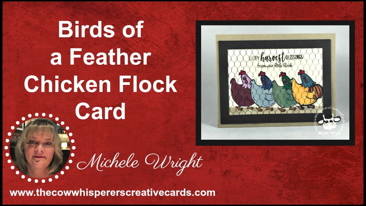 Birds of a Feather Chicken Flock Card - YouTube