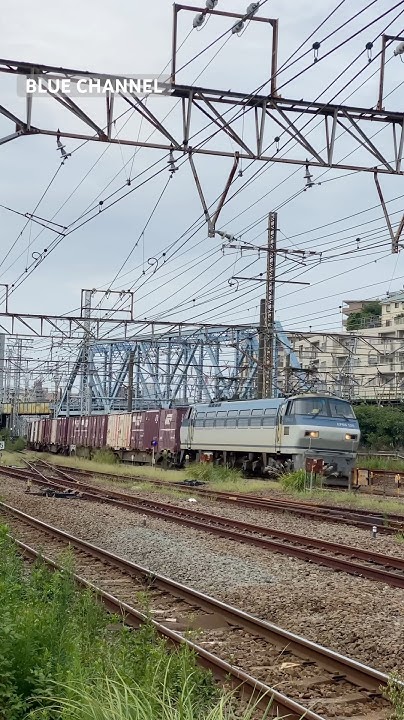 (貨物列車) 2024/09/29 3074レ EF66-128 + コキ19B (+80分) (名古屋タ〜札幌タ) #Shorts - YouTube