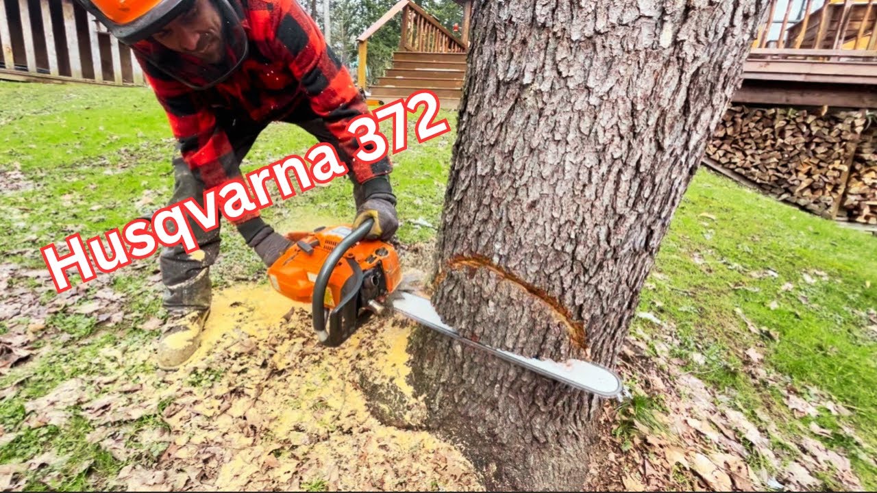 The perfect pusher tree - YouTube