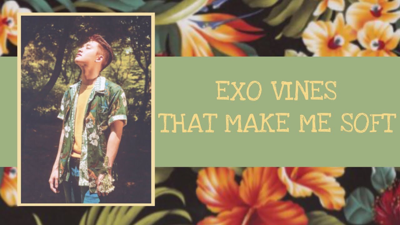 EXO vines that make me soft pt.3 - YouTube