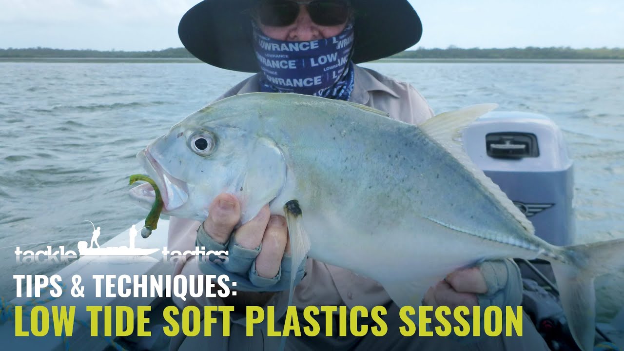 Soft Plastics Fishing - Low Tide Mixed Species Session - YouTube