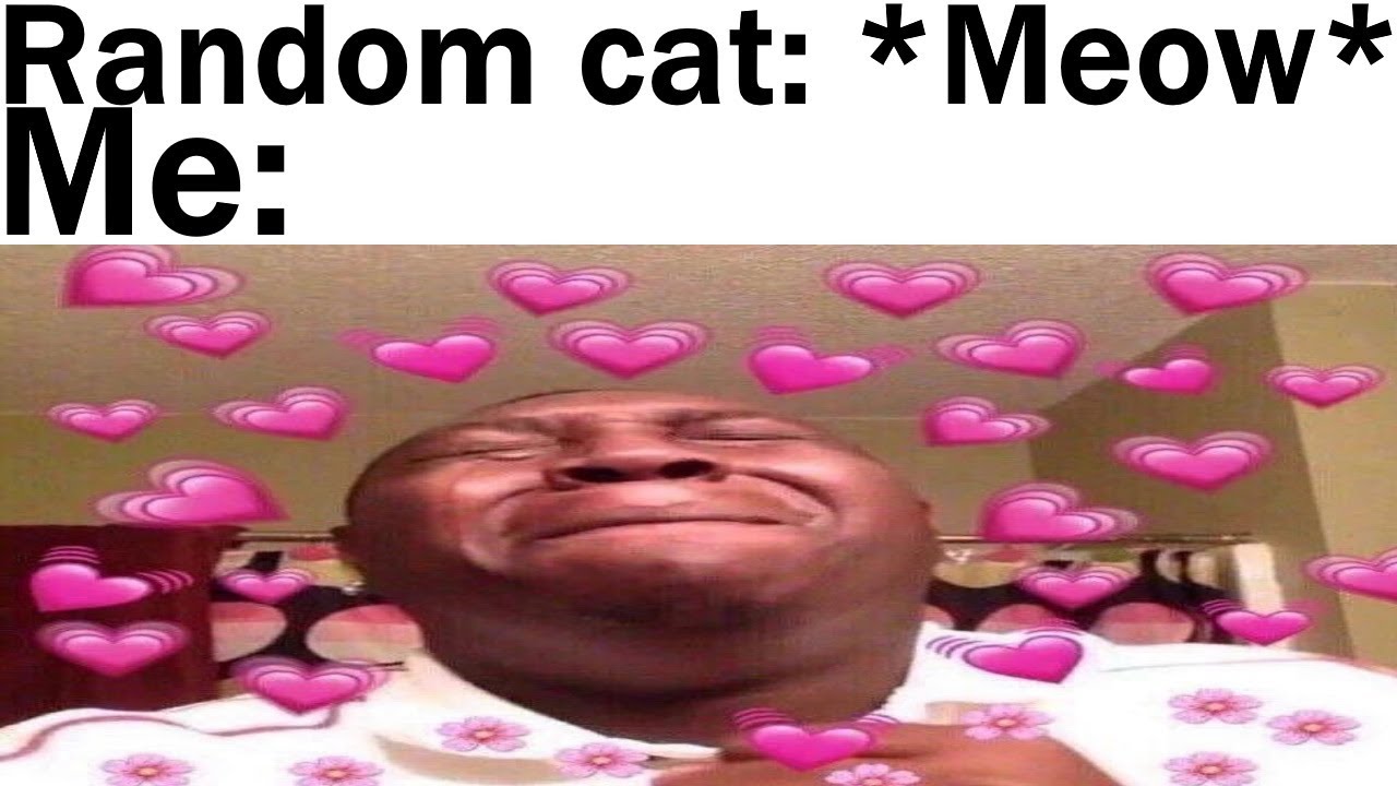 Wholesome Memes That Make My Heart Flutter YouTube Wholesome Memes That Make My Heart Flutter YouTube