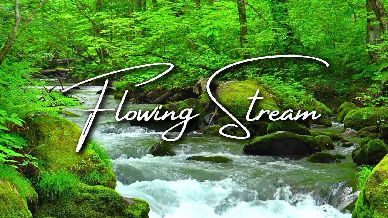 Moving Water Soundscape | Calm Soundscape (8 HOURS) - YouTube