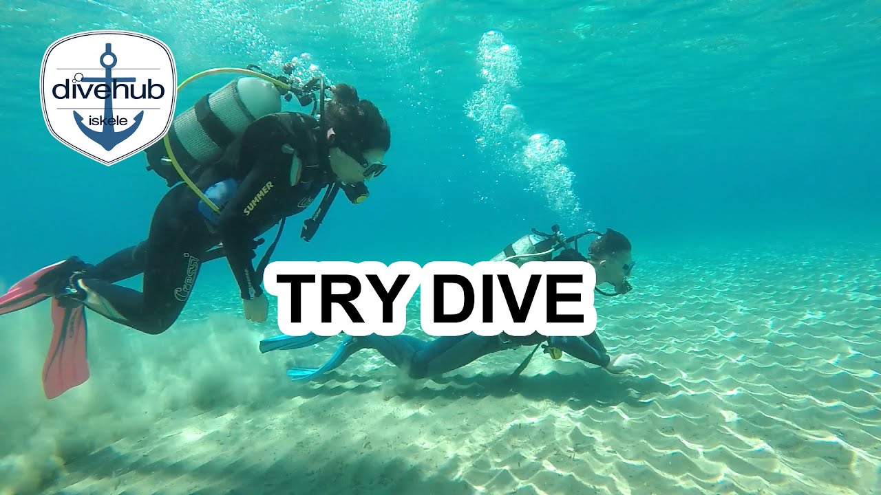 Another Try Dive with Dive Hub - YouTube