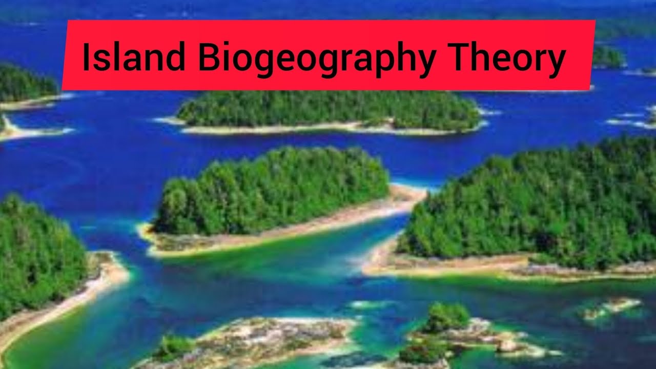 Island Biogeography Theory| Ecology| Lec-8| By Rubi - YouTube