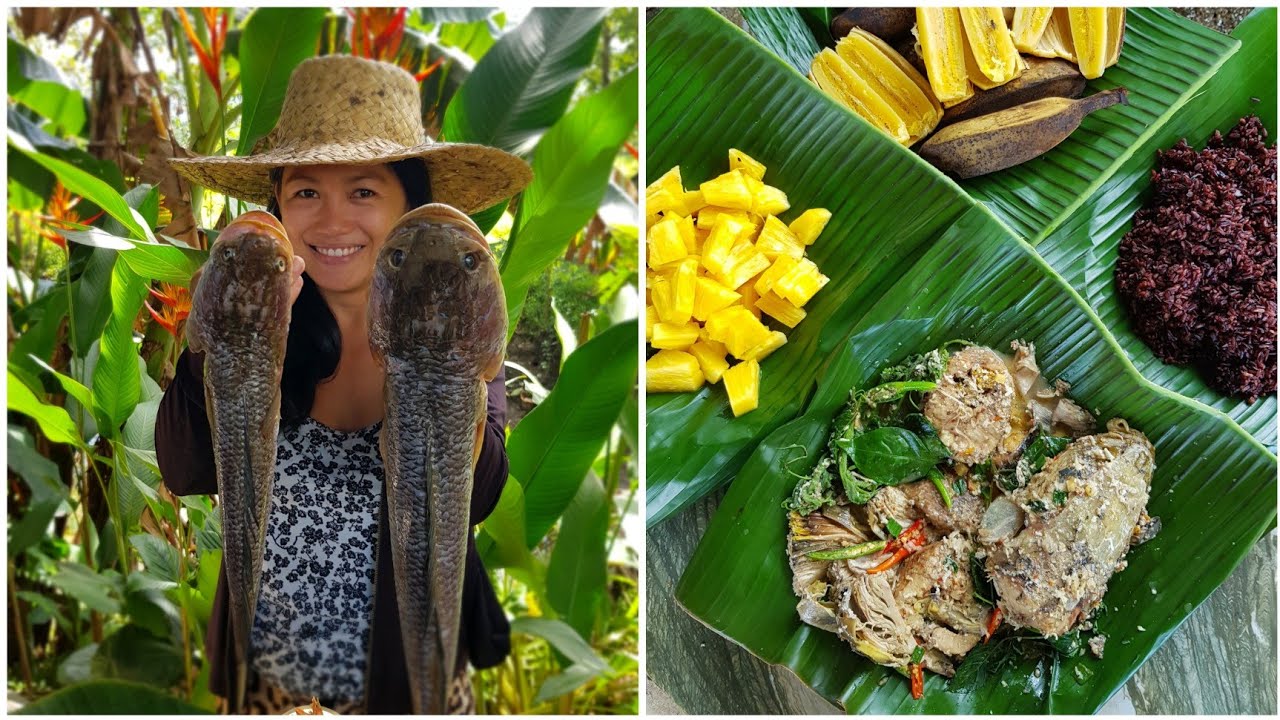 Cooking Giant Mudfish & Catfish | Ginataang Halwan at Hito - YouTube