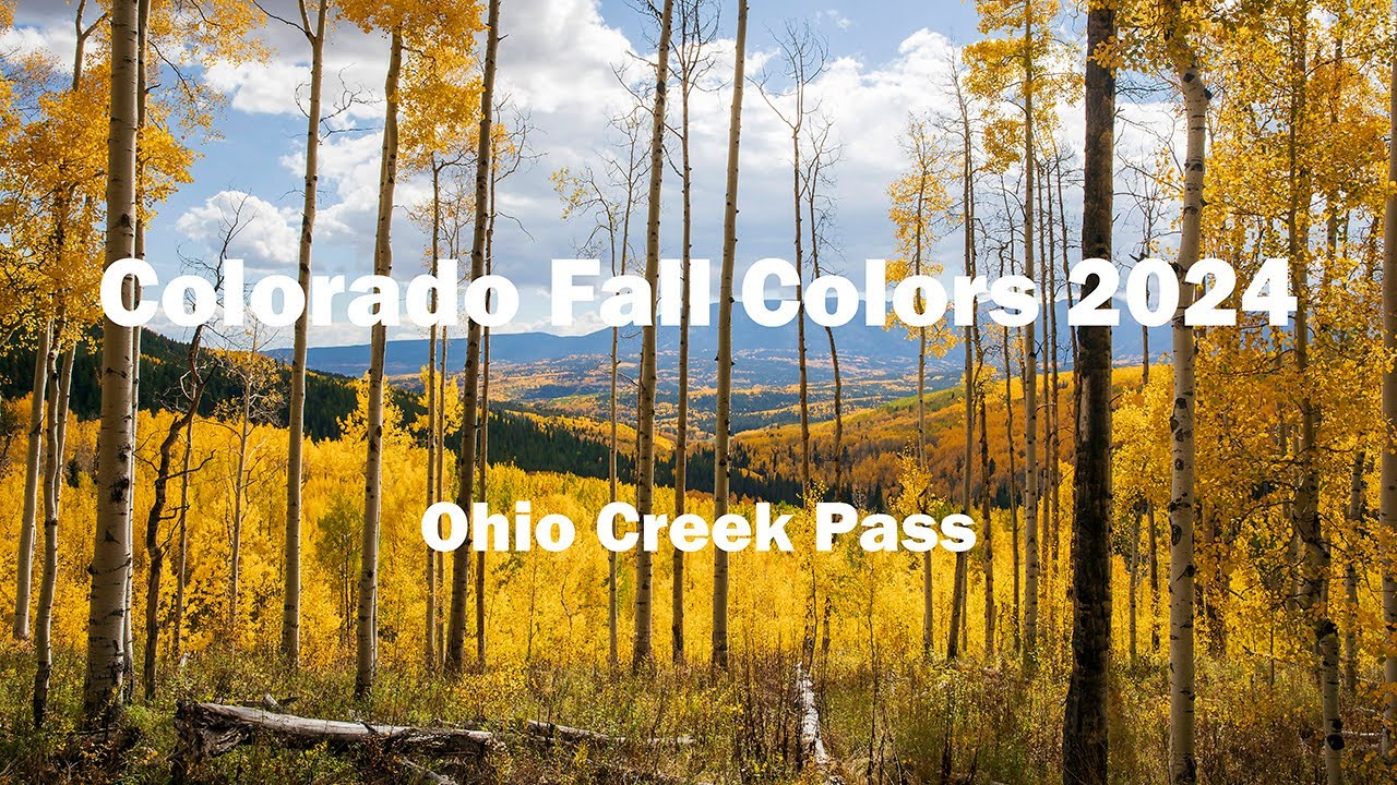 Colorado Fall Colors 2024: (2) Ohio Creek Pass - YouTube