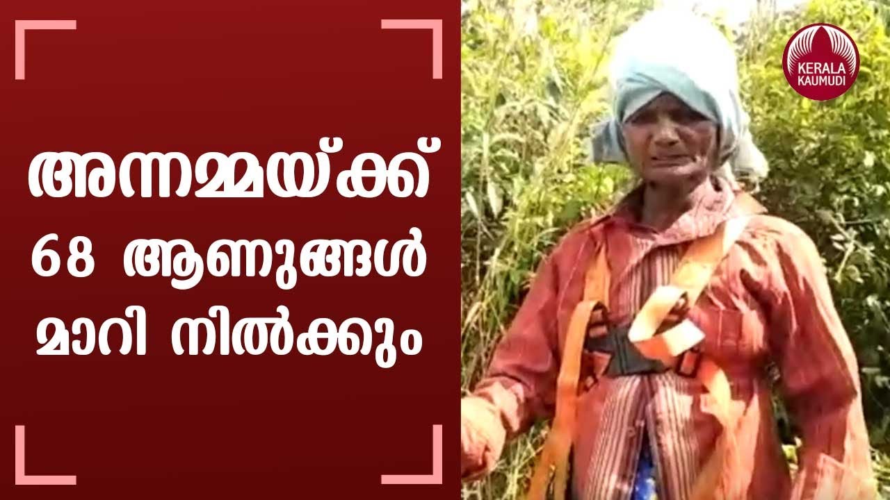 From rock cutting to hotel work, 68 years old Annamma Mathew does all ...