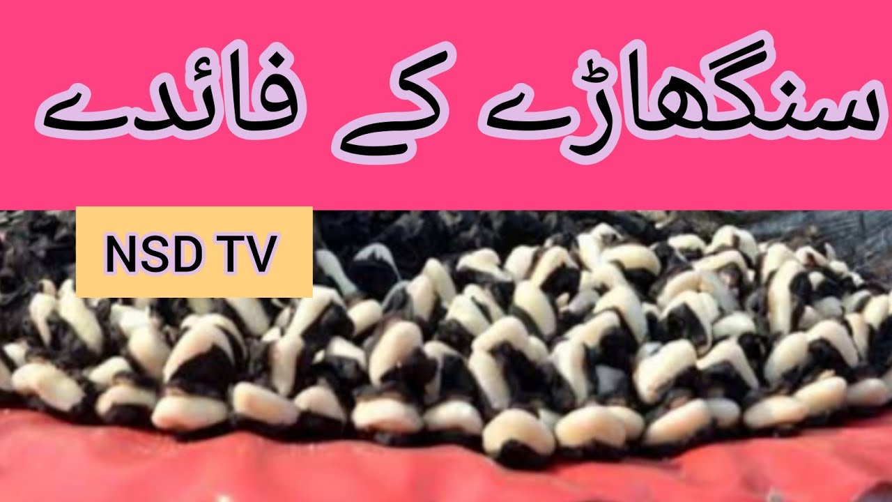 water chestnut k benefits| sangharay k faiday| سنگھاڑے کے فائدے| NSD TV ...