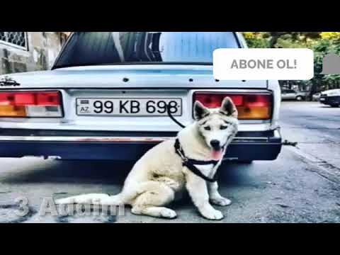 En Yeni mahnılar 2020.azeri bass music xarici mahni remix2020,super mahnı,bass Mahni