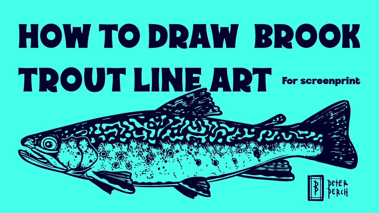 How to draw brook trout line art. - YouTube