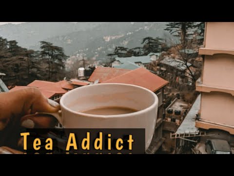 TEA ADDICT ☕ - YouTube