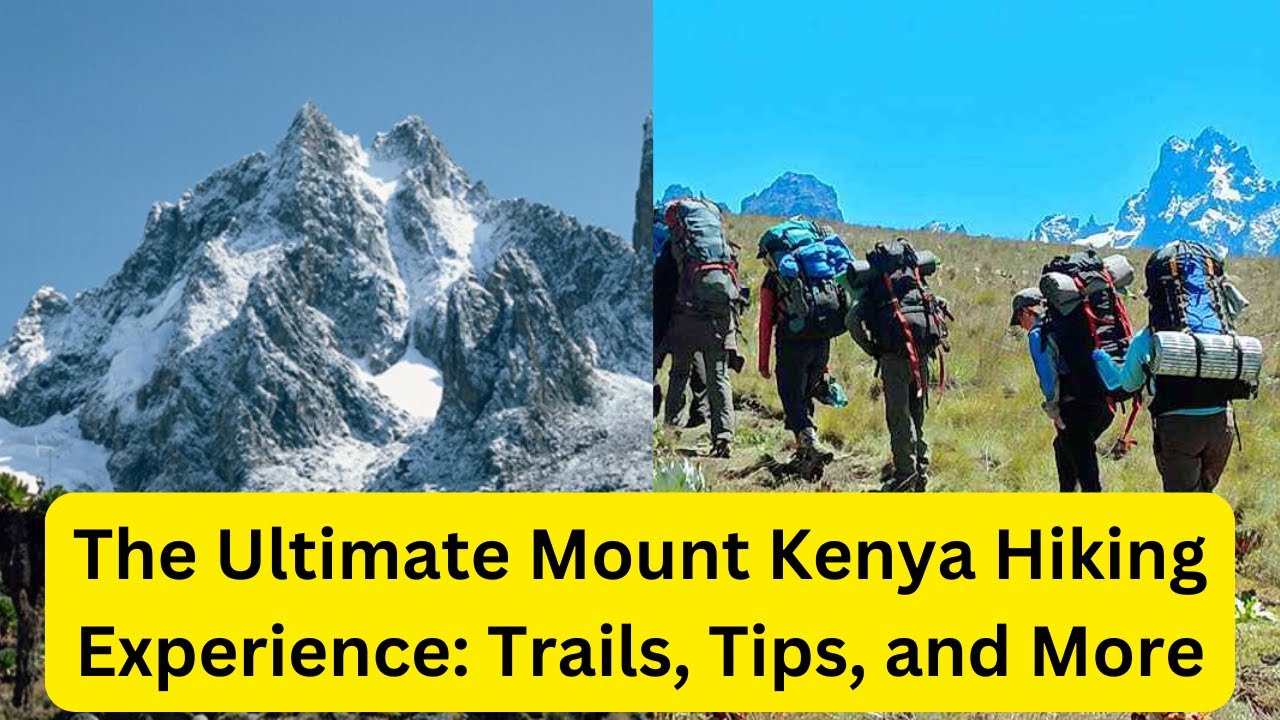 The Ultimate Mount Kenya Hiking Experience: Routes, Tips, and More ...