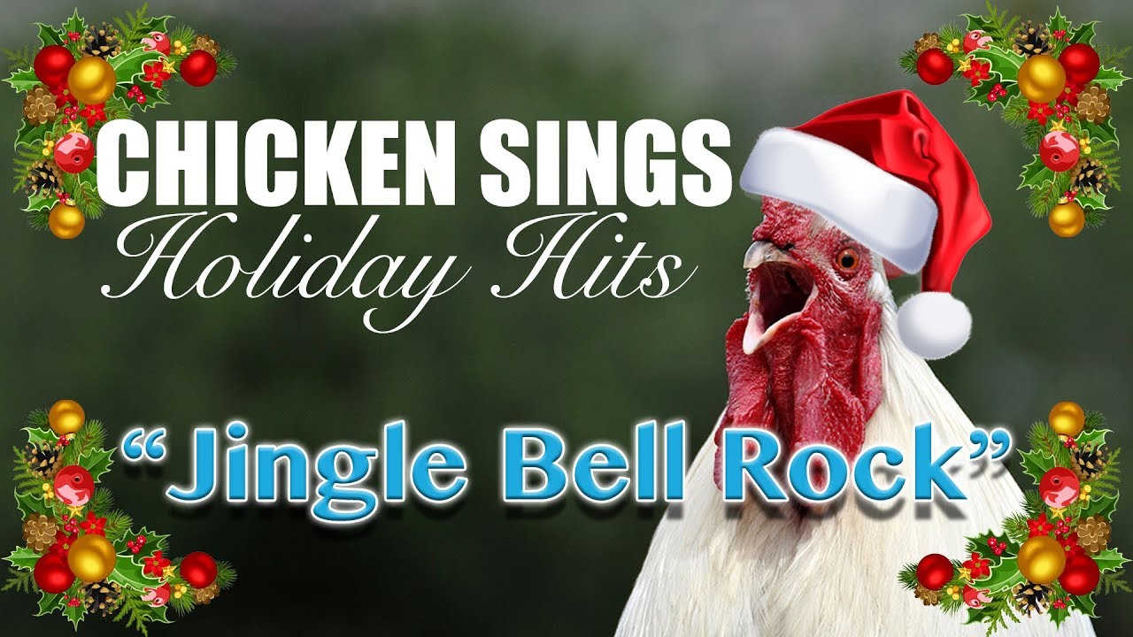 Chicken Singing Christmas/Holiday: Jingle Bell Rock - YouTube