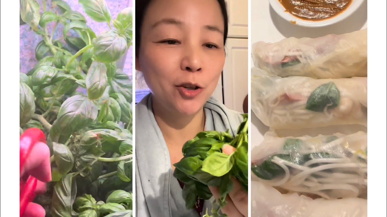 Homemade Vietnamese Basil Rolls: Healthy, Delicious, and Homegrown ...