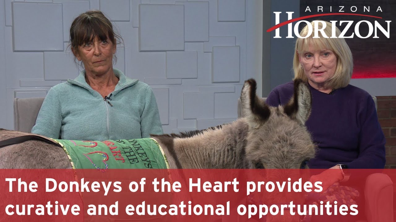 The Donkeys of the Heart provides curative, educational opportunities ...