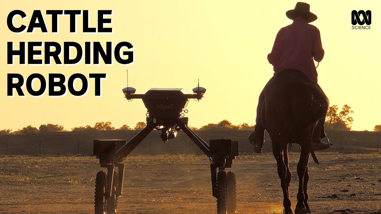Is This Robot The Future Of Farming? | SwagBot | Robot Dog - YouTube