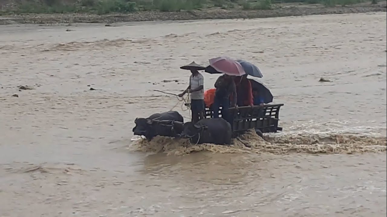 चितवनमा बाढि II Flood in Chitwan madi II Magai River II 2019 - YouTube
