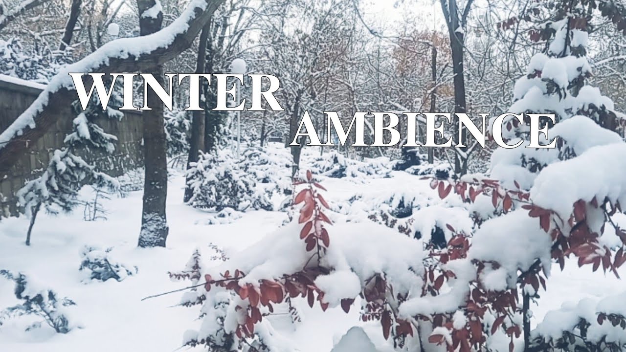 Winter Ambience With Relaxing Blizzard and Snowstorm Sounds - YouTube