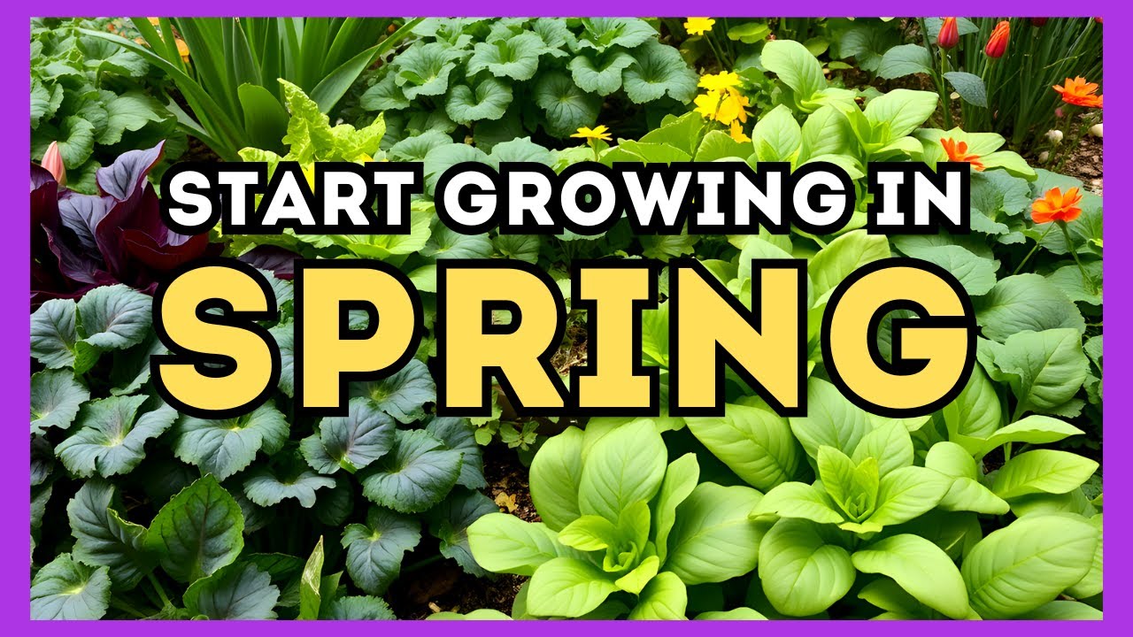 Easy And EFFECTIVE Spring Gardening Tips For Beginners - YouTube