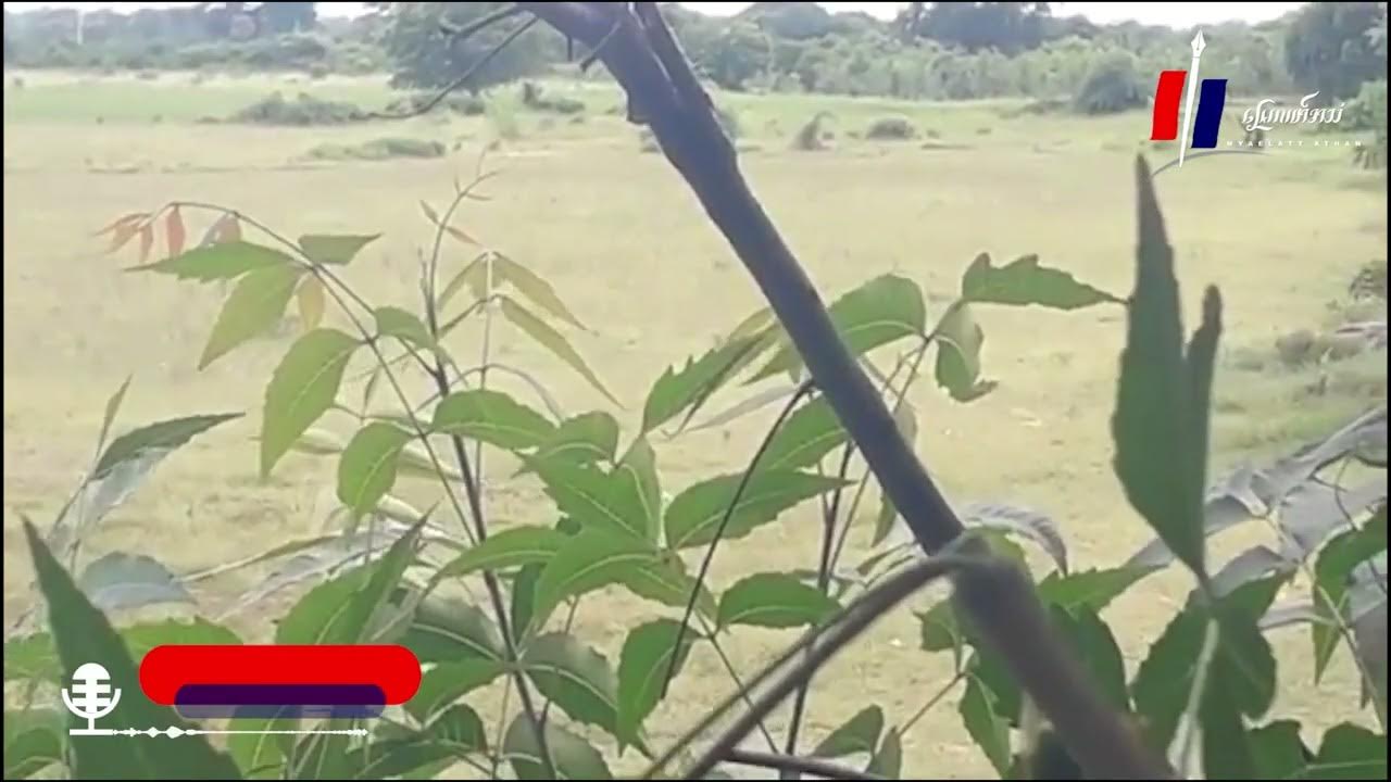 တပ်မ ၃၃ က ထွက်လာတဲ့ ကား ၁၁ စီးပါယာဉ်တန်း မြင်းမူမှာမိုင်းဆွဲခံရ Youtube