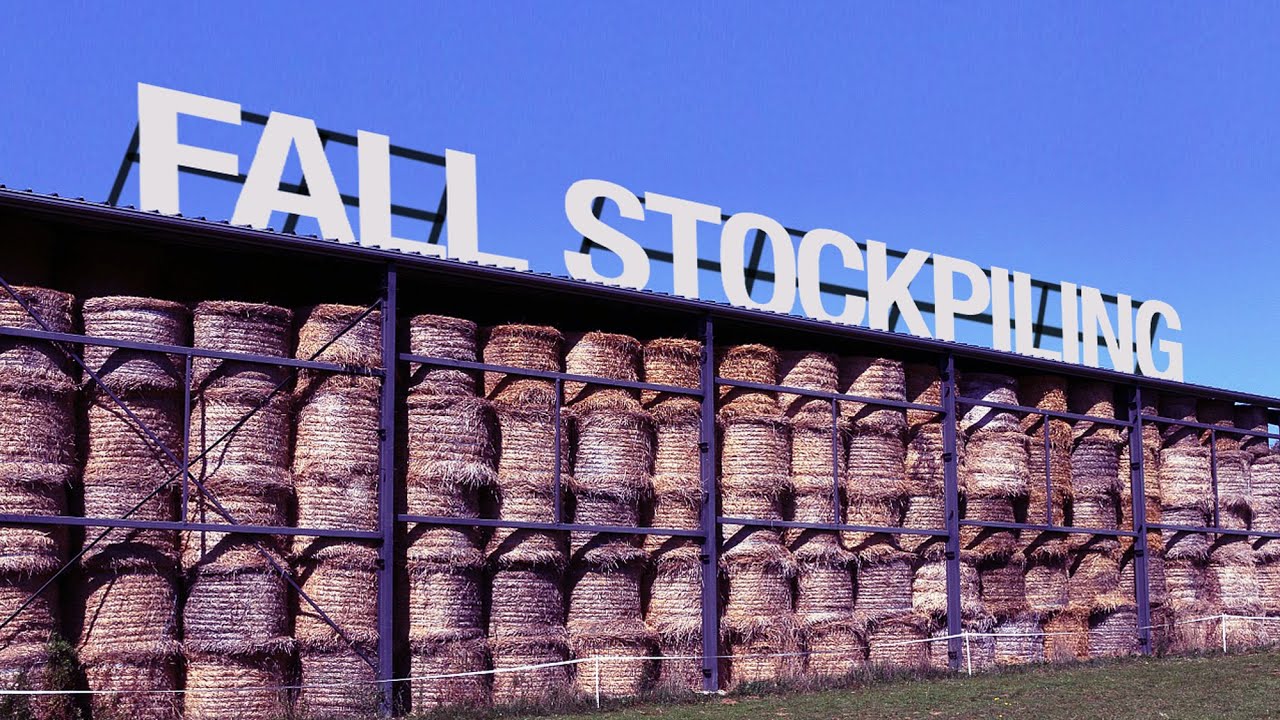 Fall Forage Stockpiling - YouTube